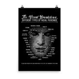 Face Piercing Chart Infographic Poster Wall Art Print, Various Piercin ...